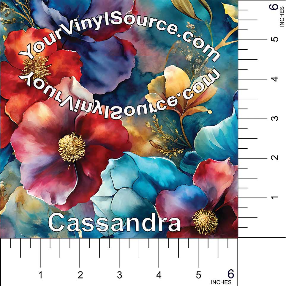 Cassandra 3 sizes – Your Vinyl Source